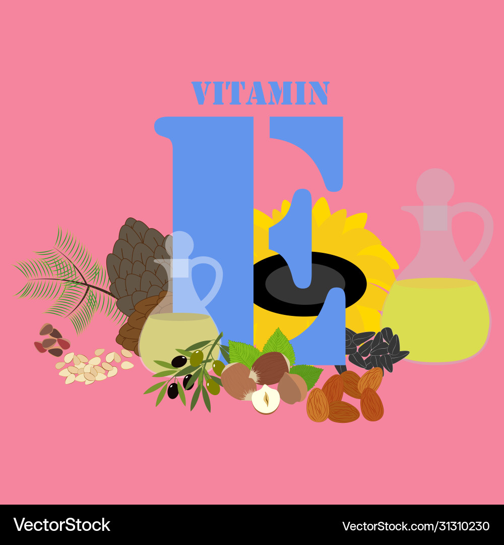 Vitamin e healthy nutrient rich food Royalty Free Vector