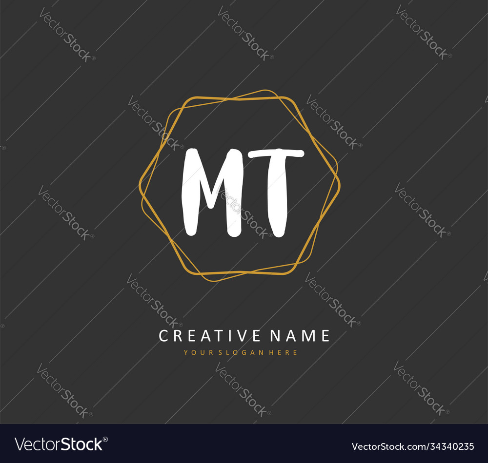 M t mt initial letter handwriting and signature Vector Image