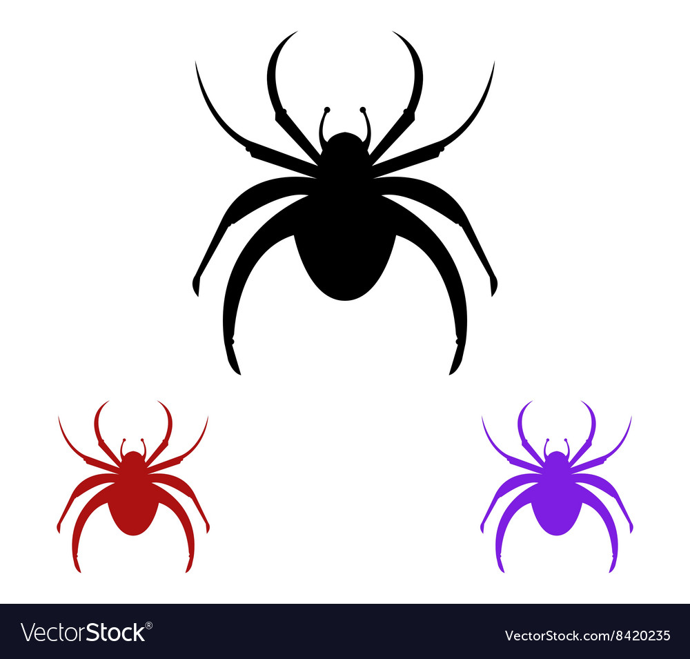 Spiders Royalty Free Vector Image - VectorStock