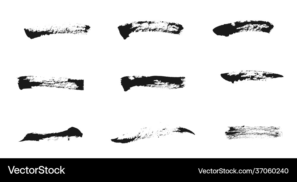 Black ink paintbrush freehand drawing Royalty Free Vector