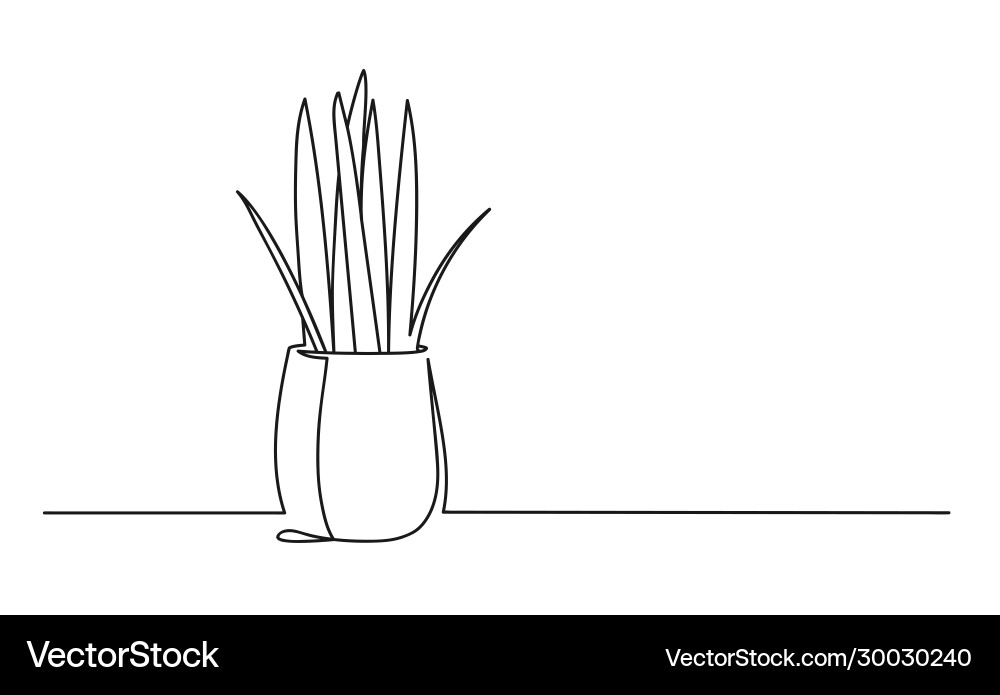 Continuous one line drawing a flower in a pot Vector Image