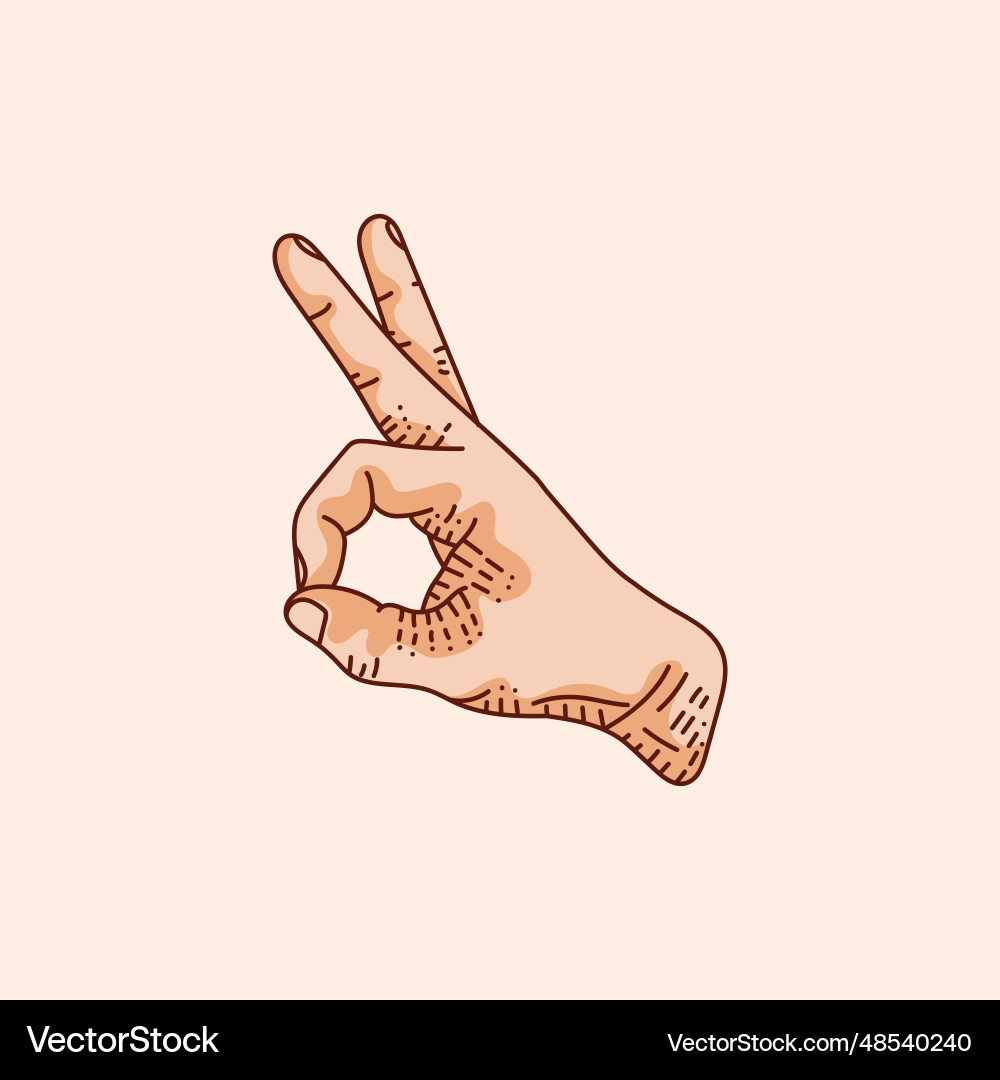 Hand showing ok sign human gesture Royalty Free Vector Image