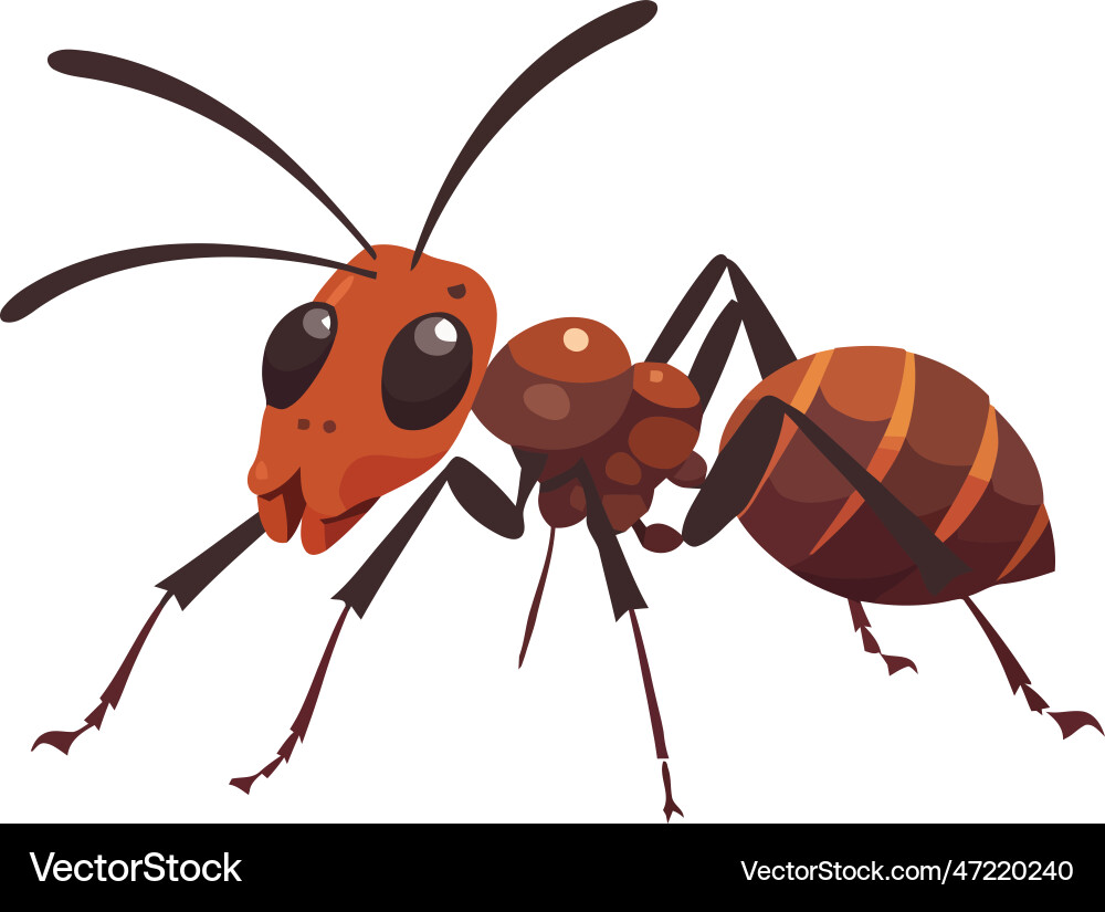 Insect nature ant animal Royalty Free Vector Image