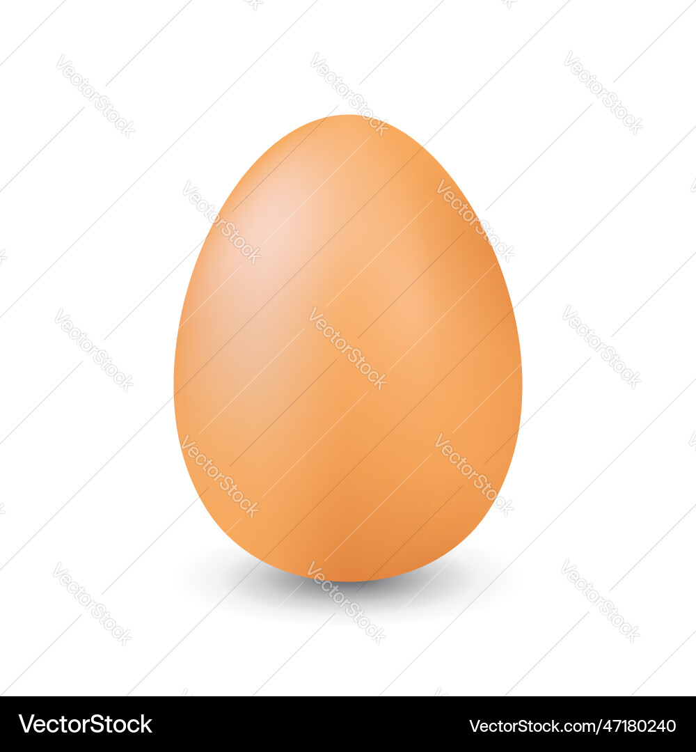 Realistic isolated egg fresh healthy meal Vector Image