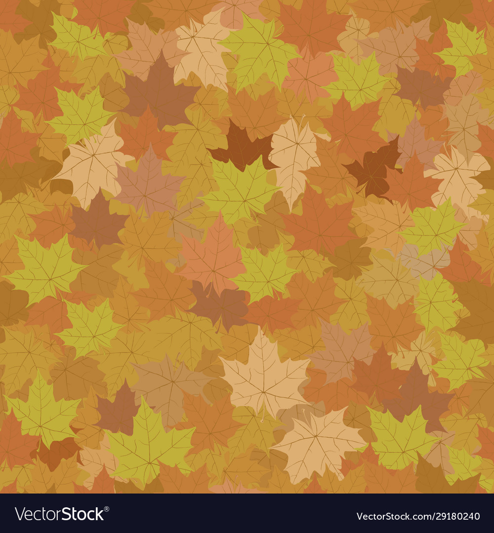 Seamless pattern maple leaves different shades Vector Image