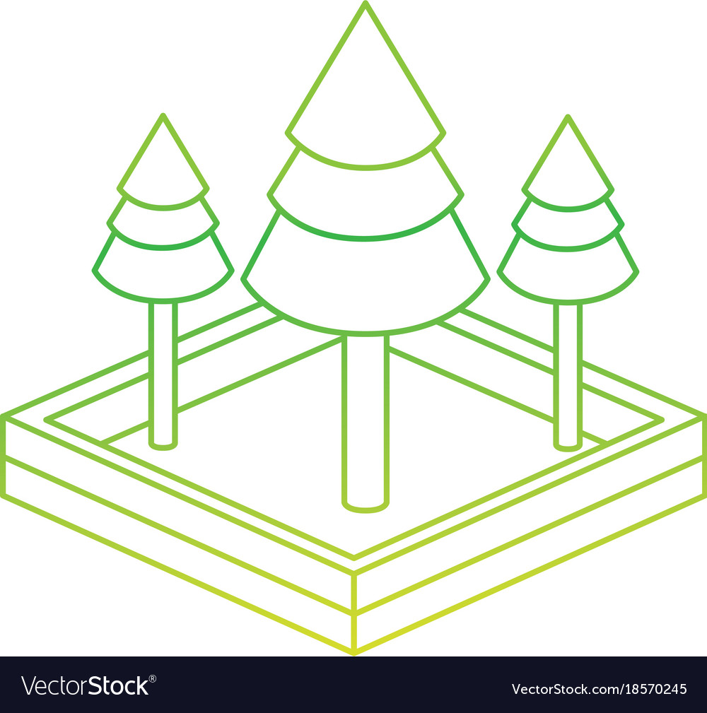 Isometric pine tree design Royalty Free Vector Image