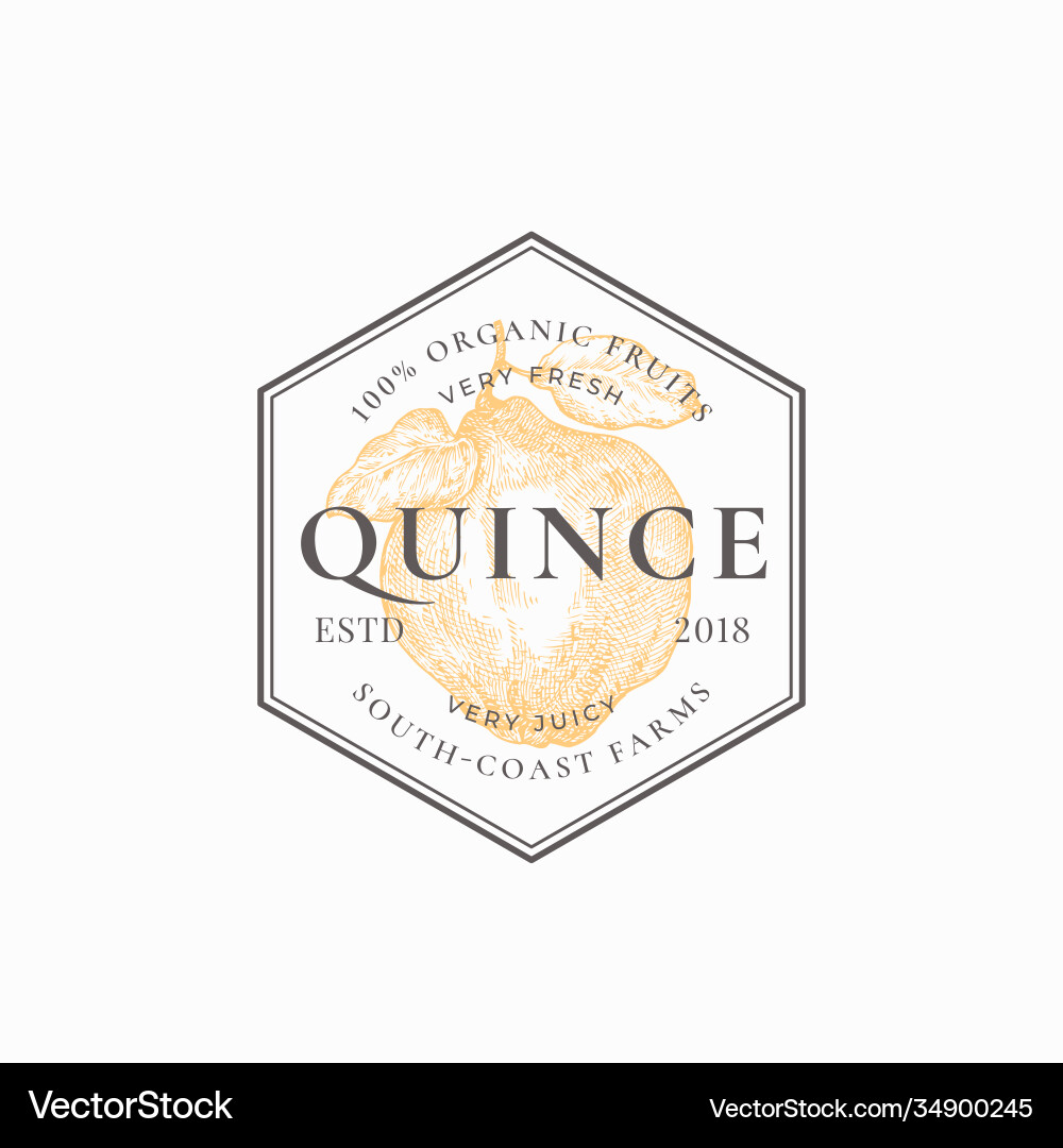 Quince frame badge or logo template hand drawn Vector Image