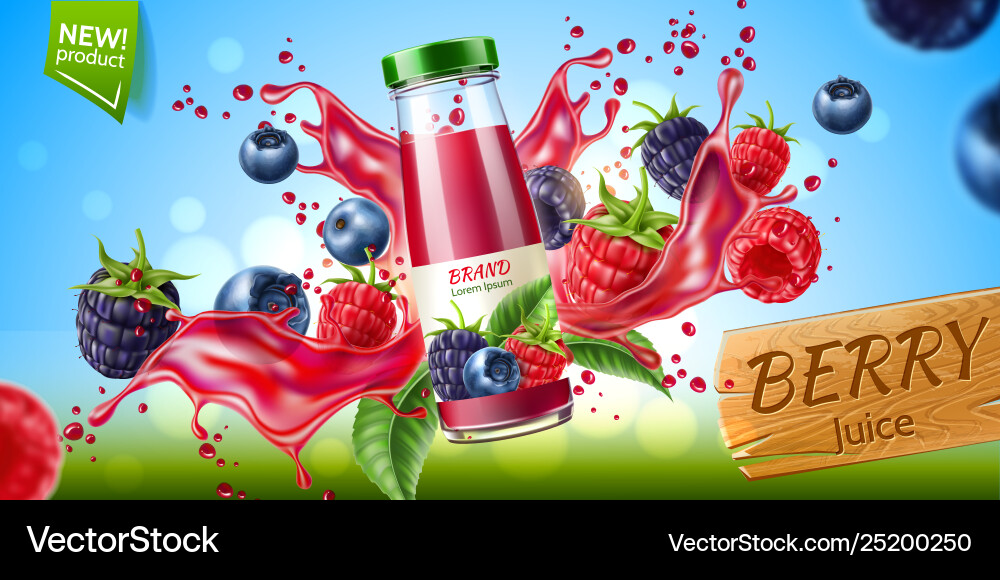 Forest berry mix juicy splash motion Royalty Free Vector