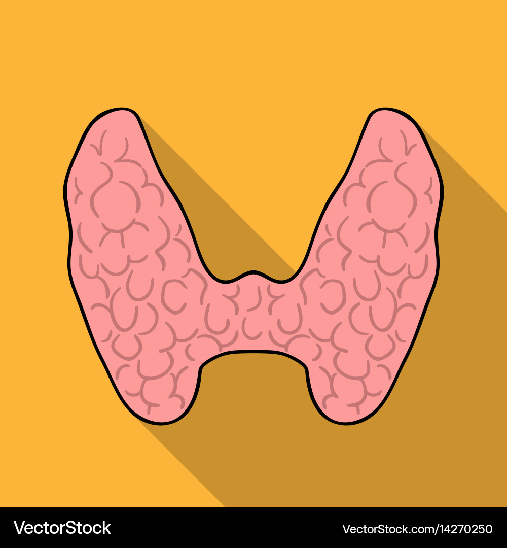 Human thyroid icon in flat style isolated on white