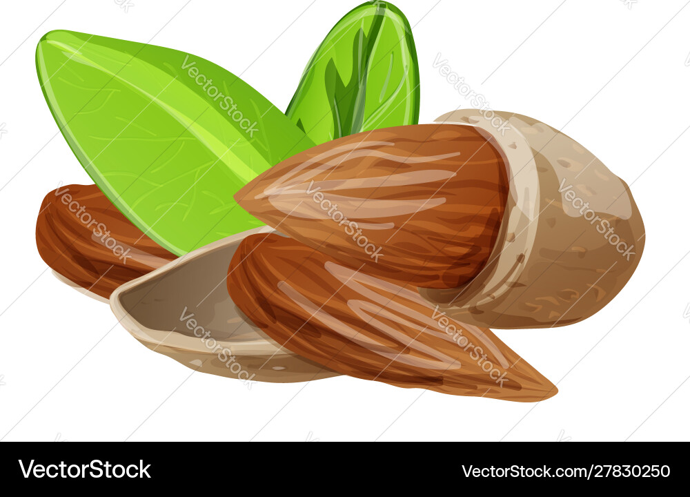Raw almonds icon cartoon style Royalty Free Vector Image