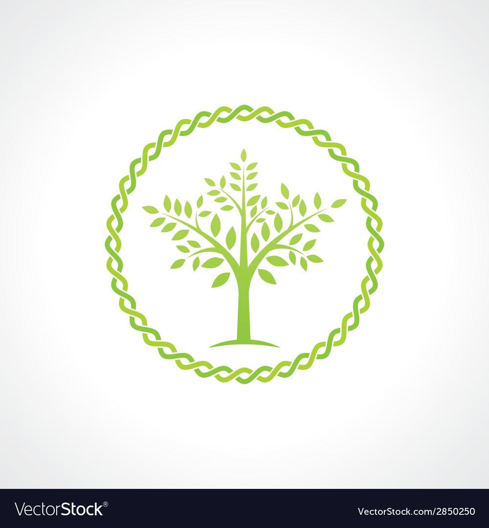 Symbol of tree Royalty Free Vector Image - VectorStock
