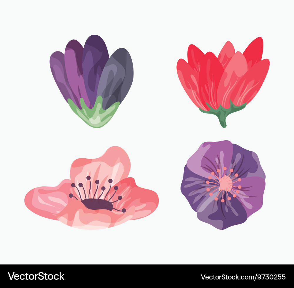 Drawing flower icon floral design graphic Vector Image