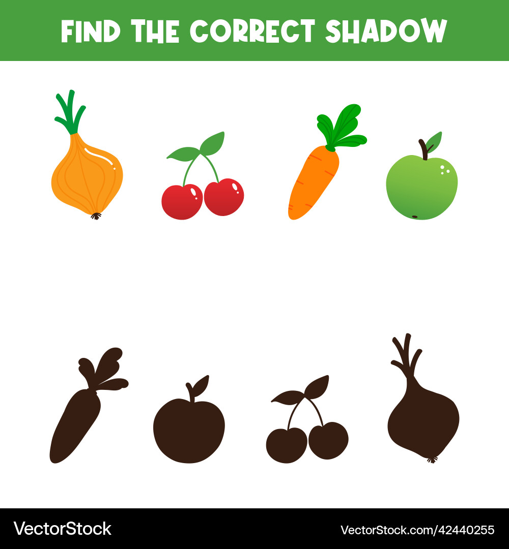 Educational game for kids find the shadows Vector Image