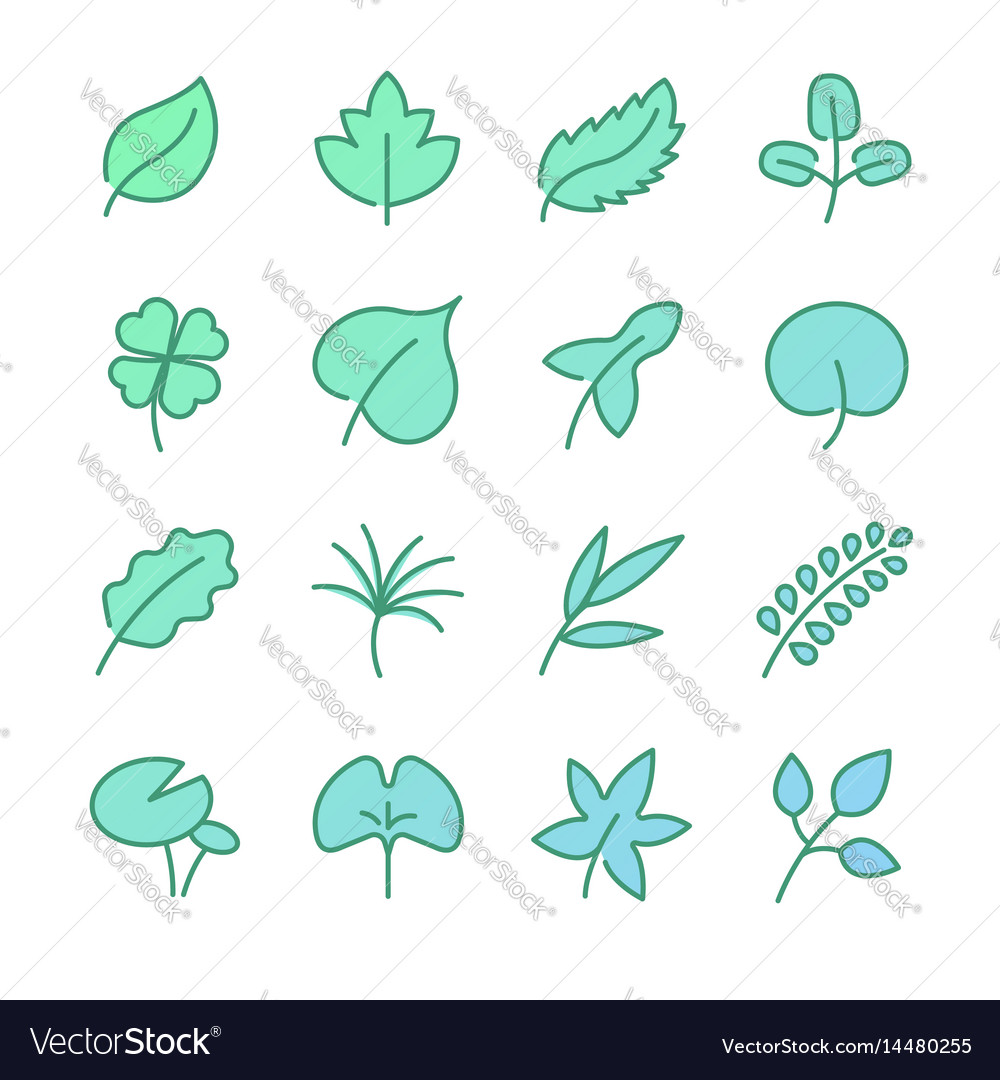 Leaf icon set Royalty Free Vector Image - VectorStock