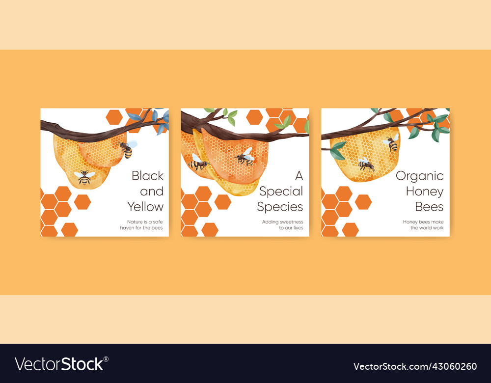Banner template with honey bee conceptwatercolor Vector Image