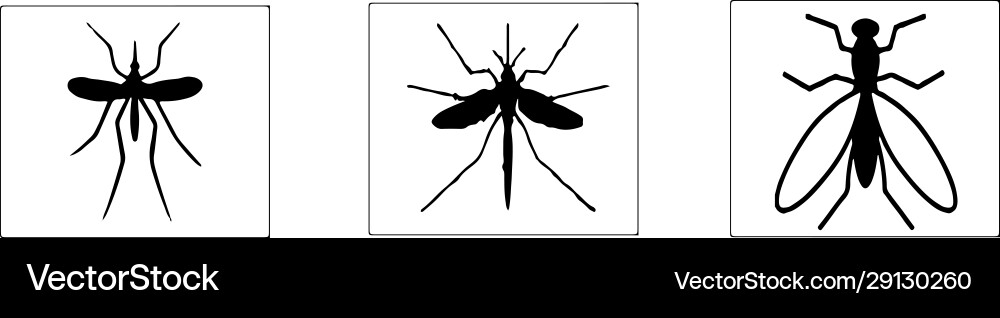 Mosquito icon isolated on background Royalty Free Vector