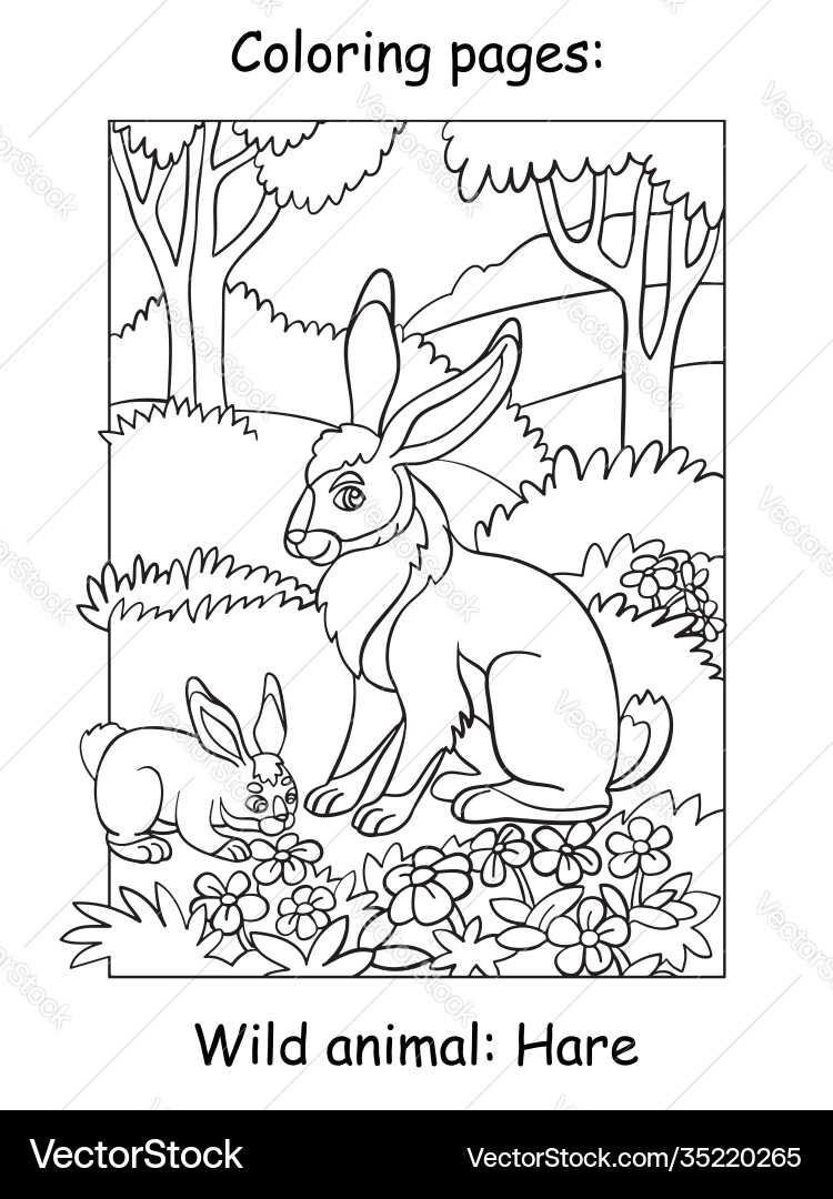Children coloring book page hares Royalty Free Vector Image