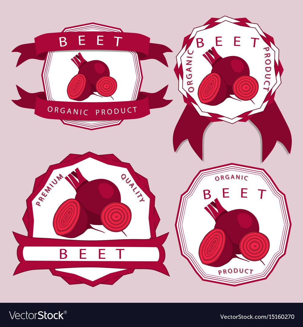 Beet Royalty Free Vector Image - VectorStock