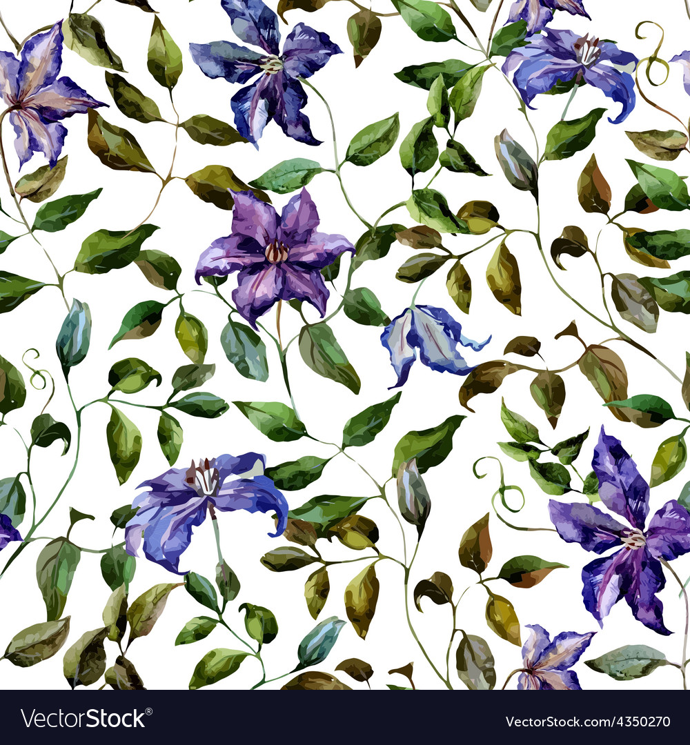 Clematis flower pattern Royalty Free Vector Image