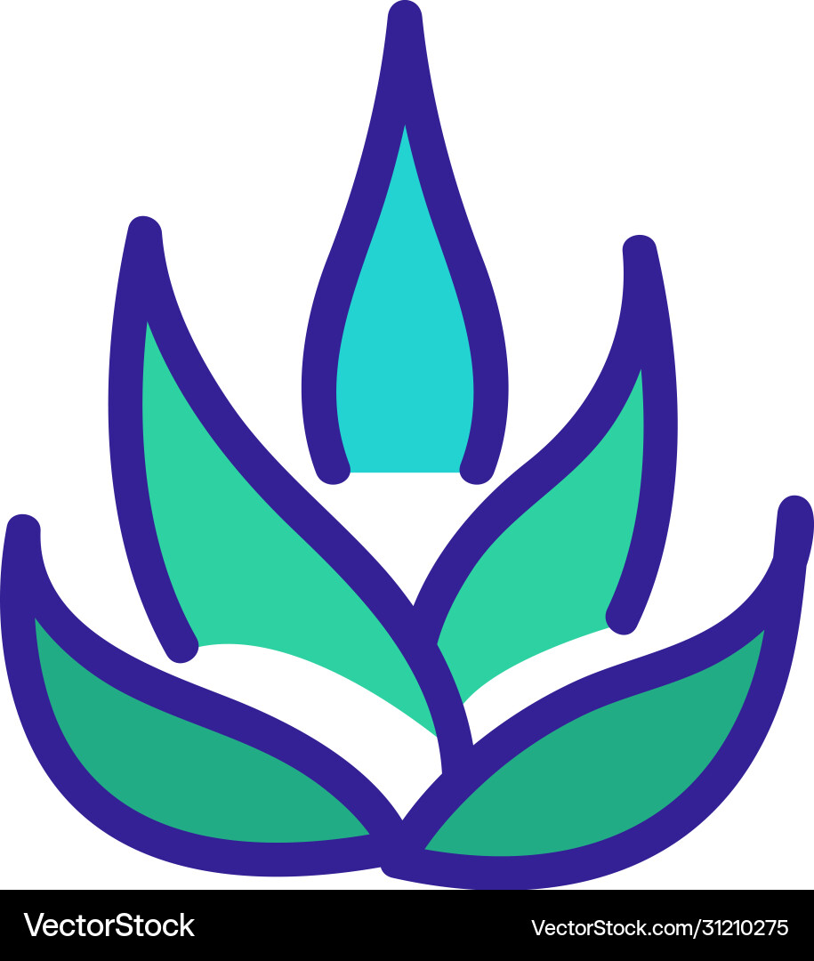 Agave plant icon outline Royalty Free Vector Image