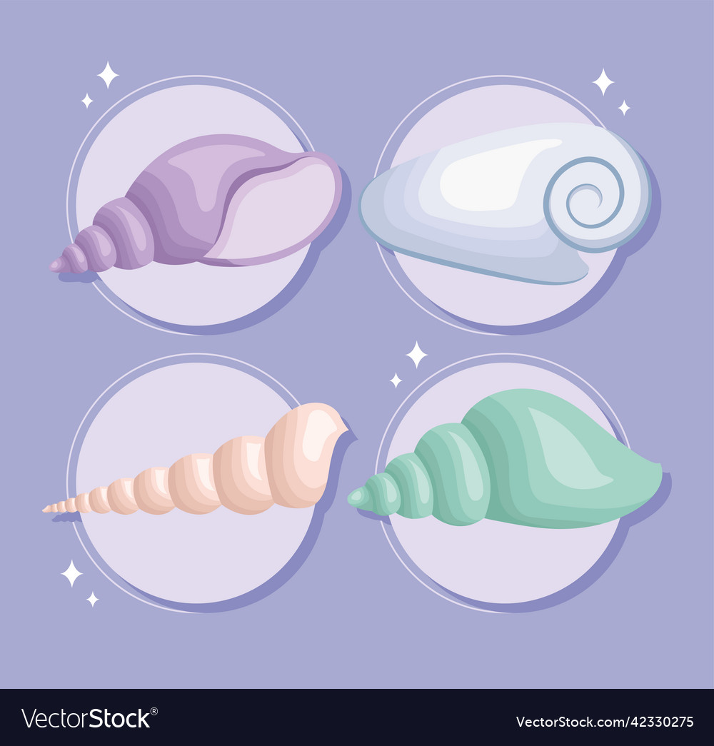 Four colored seashell Royalty Free Vector Image