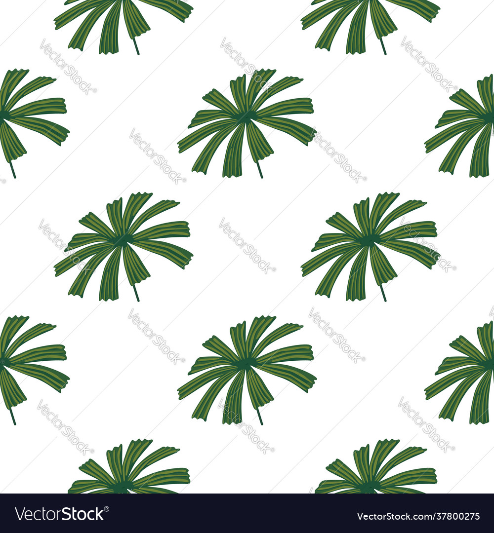Isolated botanic seamless pattern with green palm Vector Image