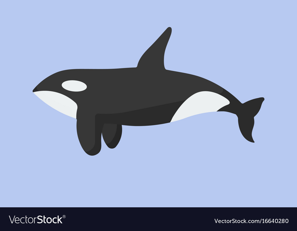 Killer whale flat icon Royalty Free Vector Image