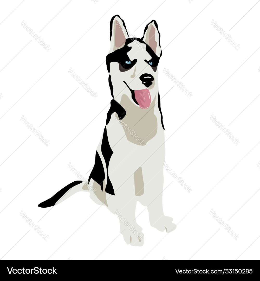 Siberian husky puppy portrait Royalty Free Vector Image