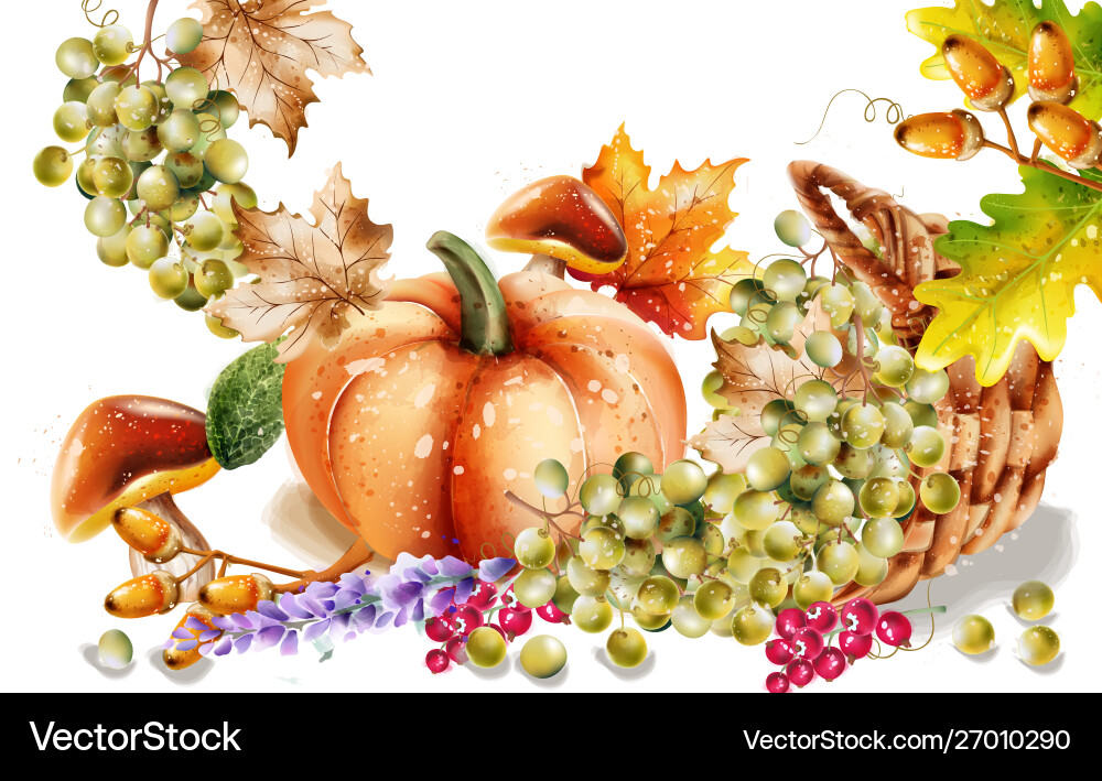 Autumn fall vegetables watercolor pumpkin Vector Image