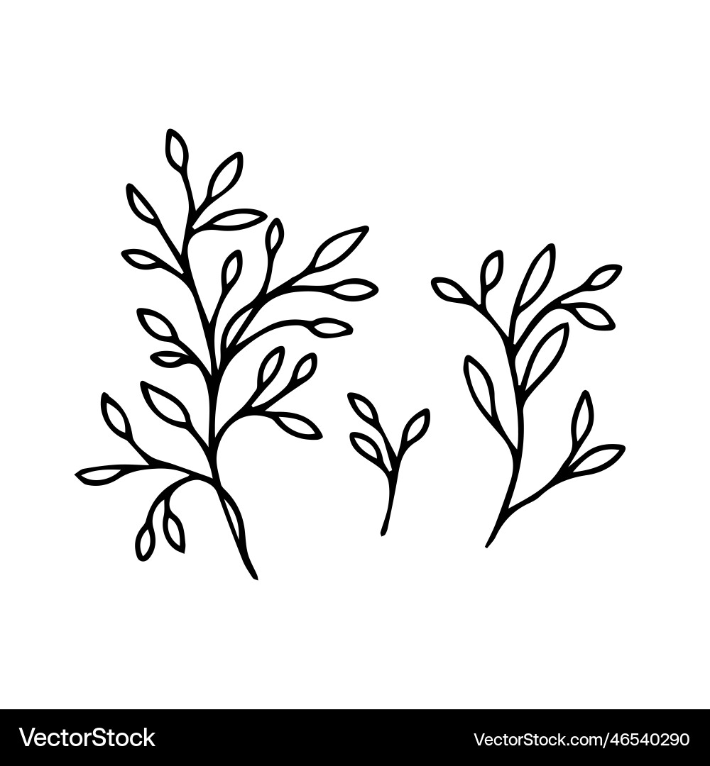 Floral simple leaves doodle style design Vector Image