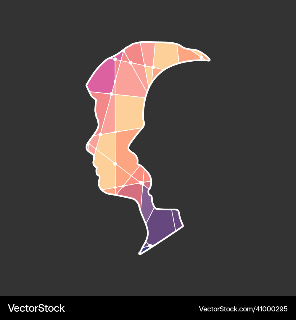 Human face side view silhouette and alter ego Vector Image