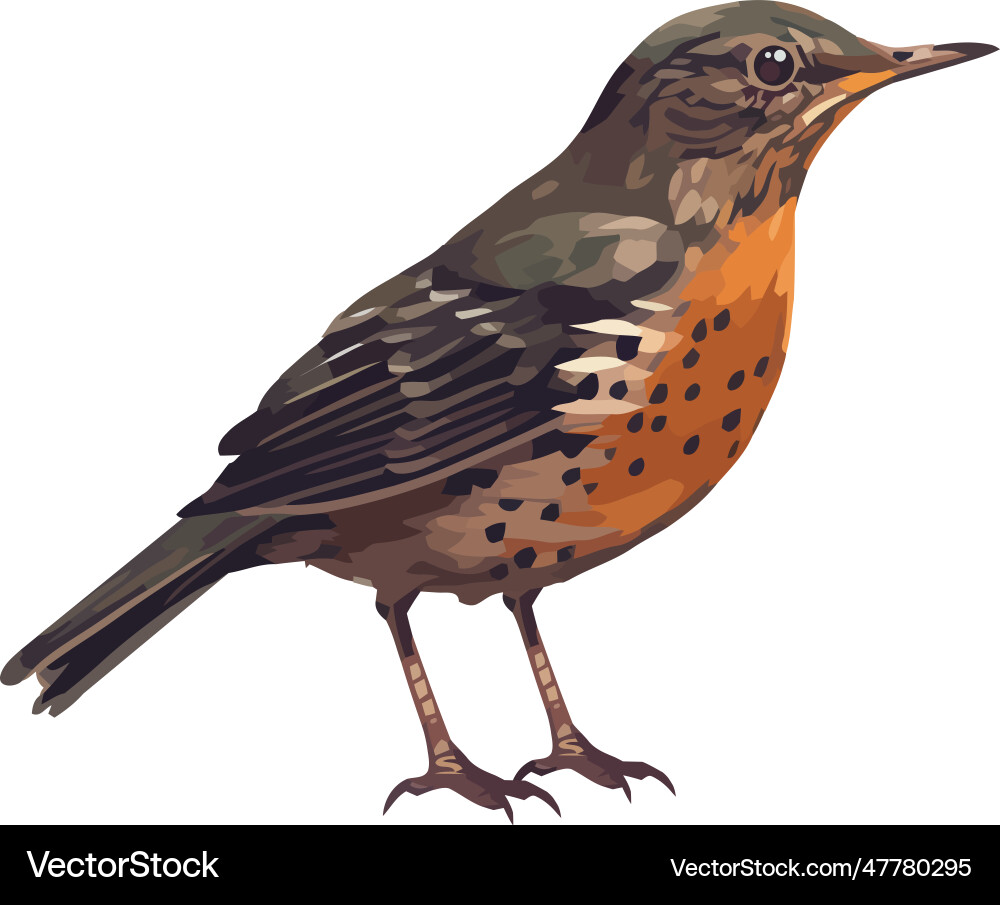Small starling perching singing sweetly Royalty Free Vector