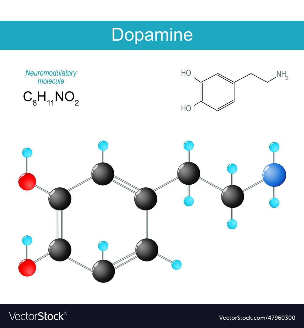 Dopamine Molecule Royalty Free Vector Image Vectorstock