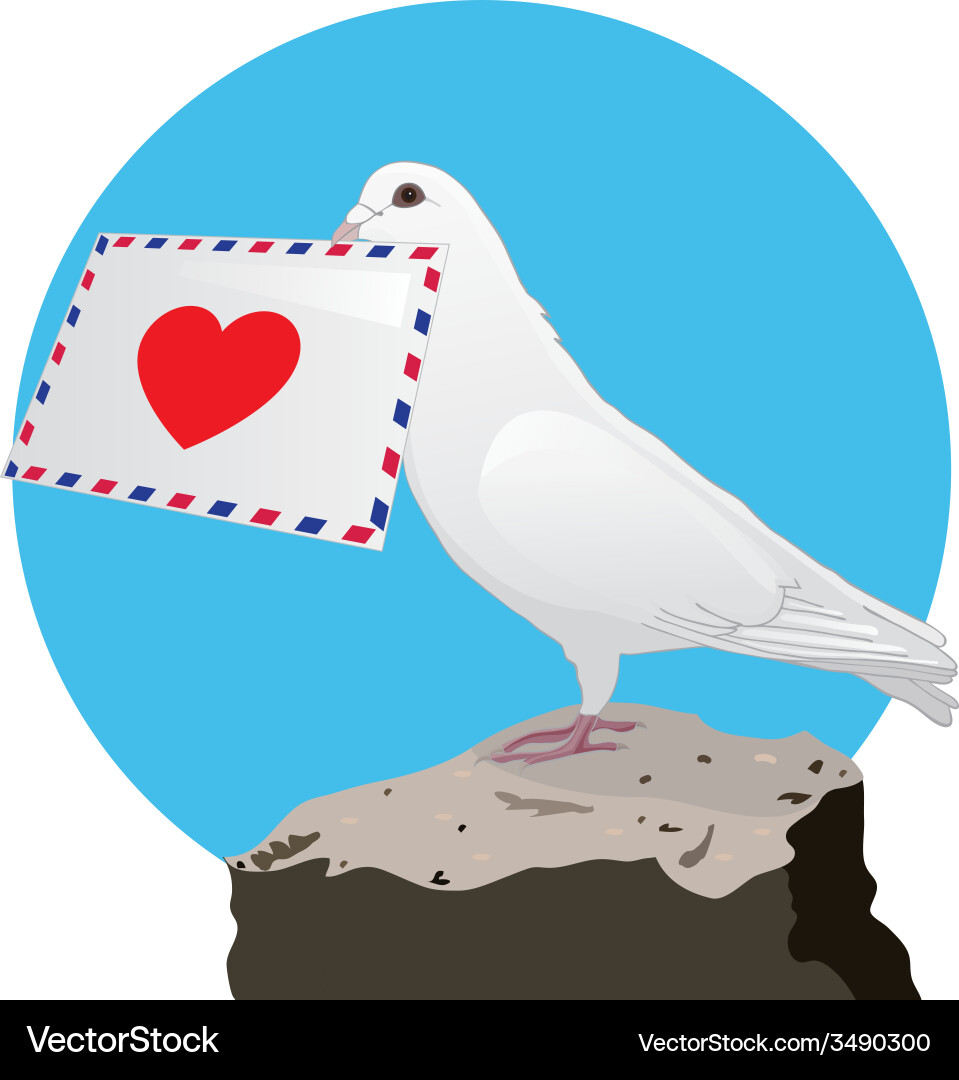 Dove with a love letter Royalty Free Vector Image