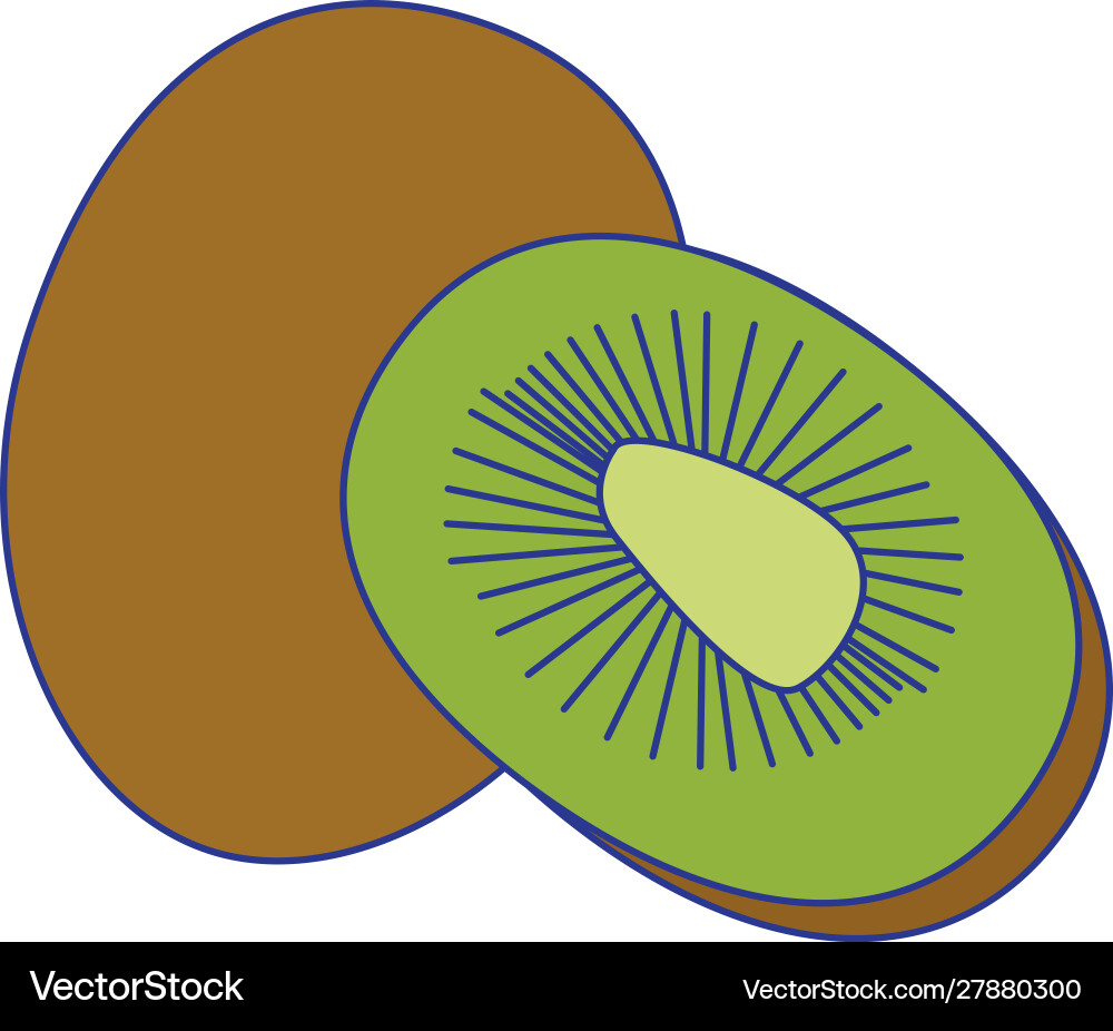 Kiwi fruit icon colorful design Royalty Free Vector Image
