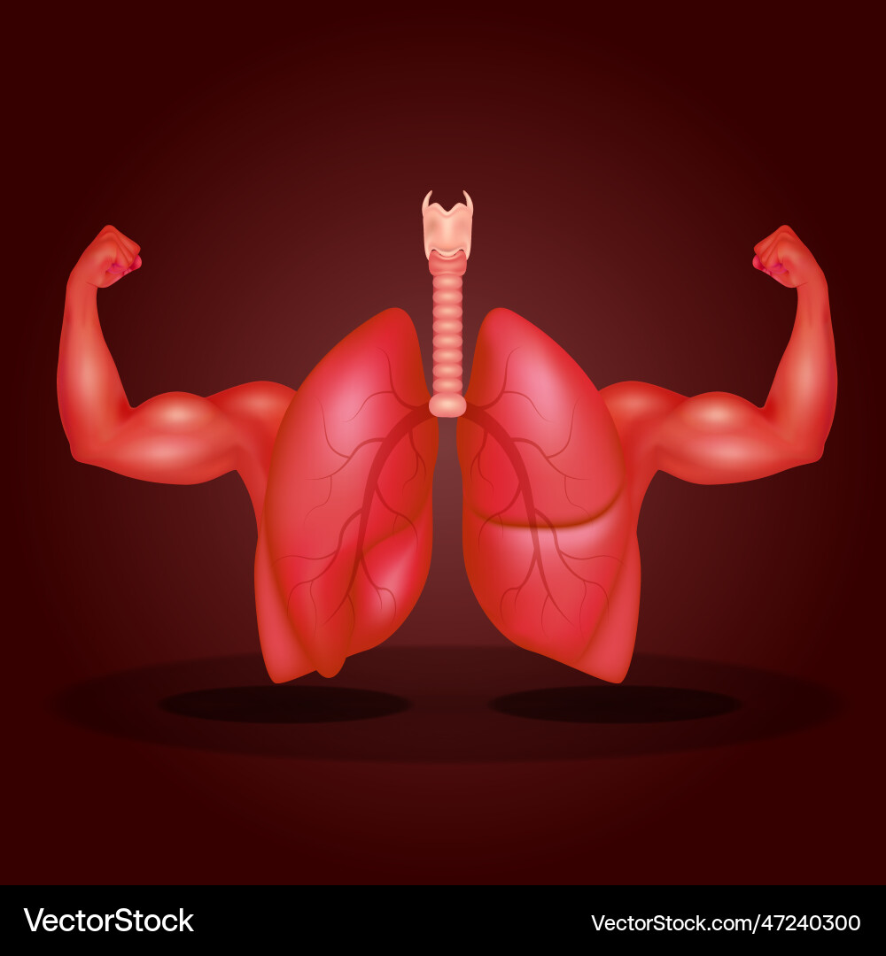 Medical care lungs1 Royalty Free Vector Image - VectorStock
