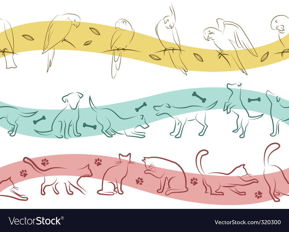 Pet pattern Royalty Free Vector Image - VectorStock