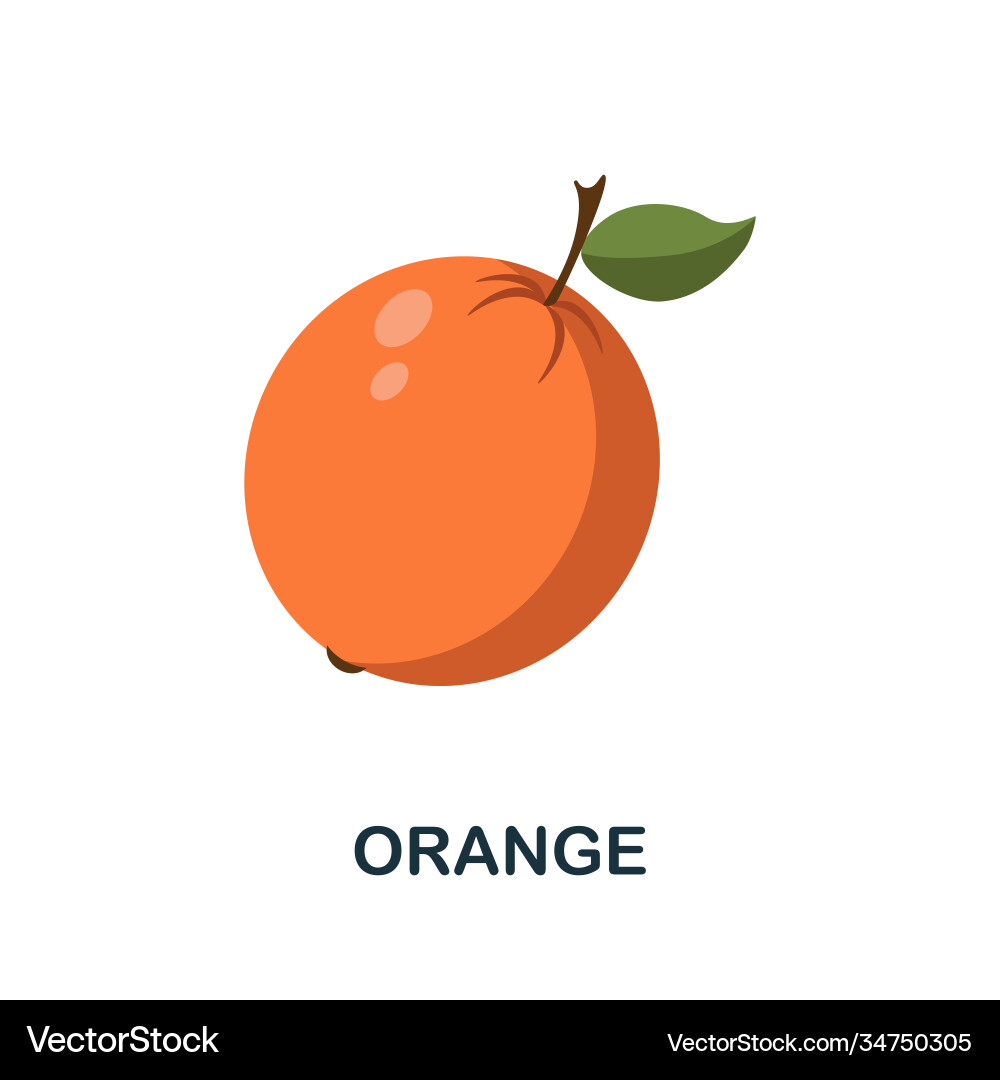 Orange icon simple element from fruits collection Vector Image