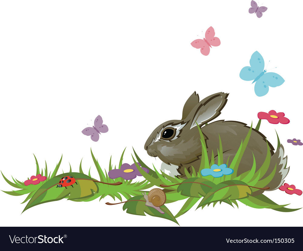 Rabbit Royalty Free Vector Image - VectorStock