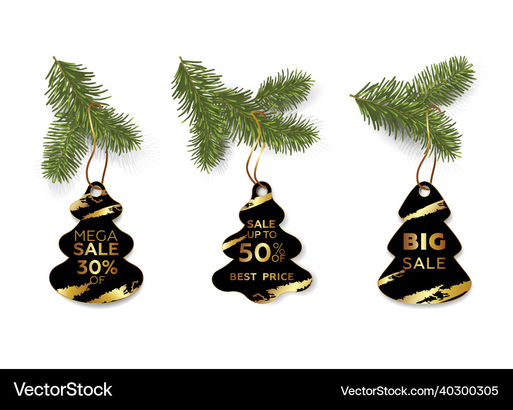 Tags shape of a christmas tree branches Royalty Free Vector