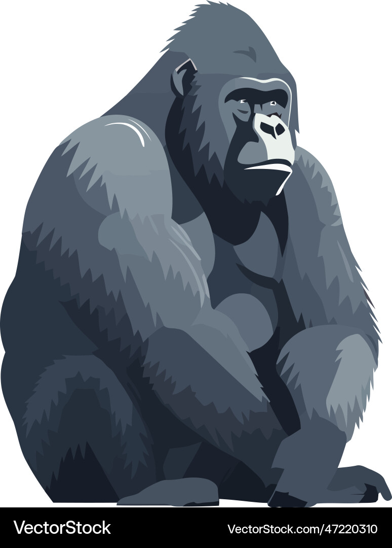 Large gorilla nature isolated portrait Royalty Free Vector