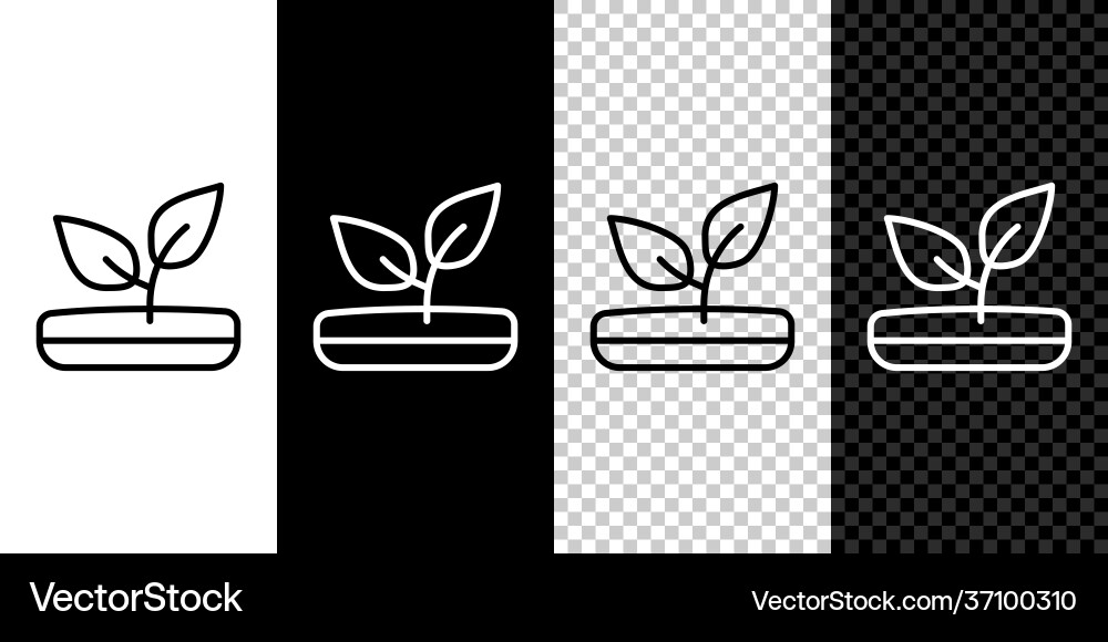 Set line sprout icon isolated on black and white Vector Image