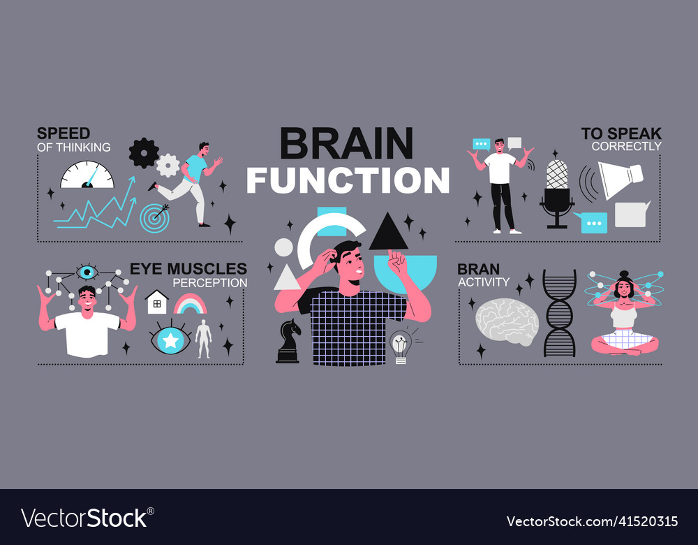 How brain functions infographics Royalty Free Vector Image