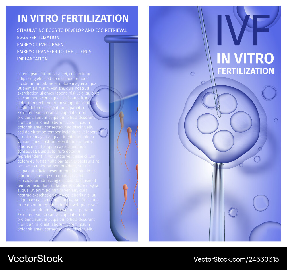 In vitro fertilization vertical banners copy space
