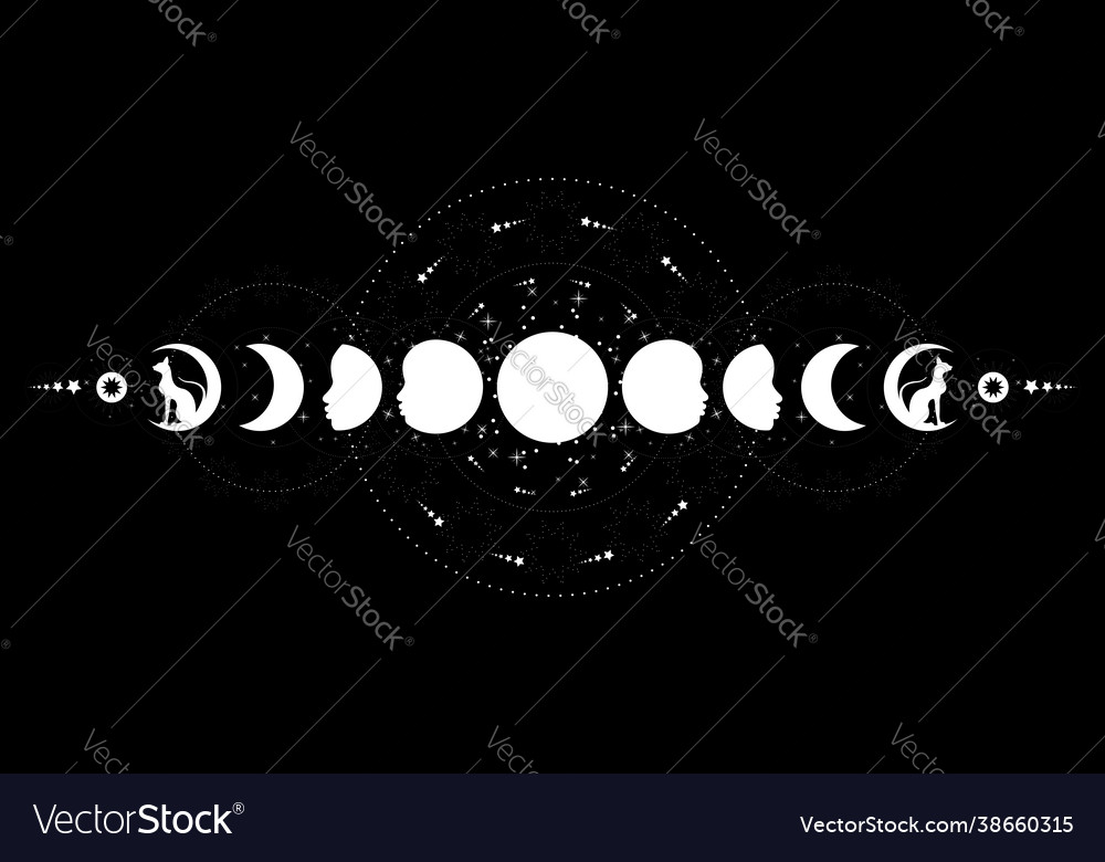 Phases moon wiccan triple moon black cats Vector Image