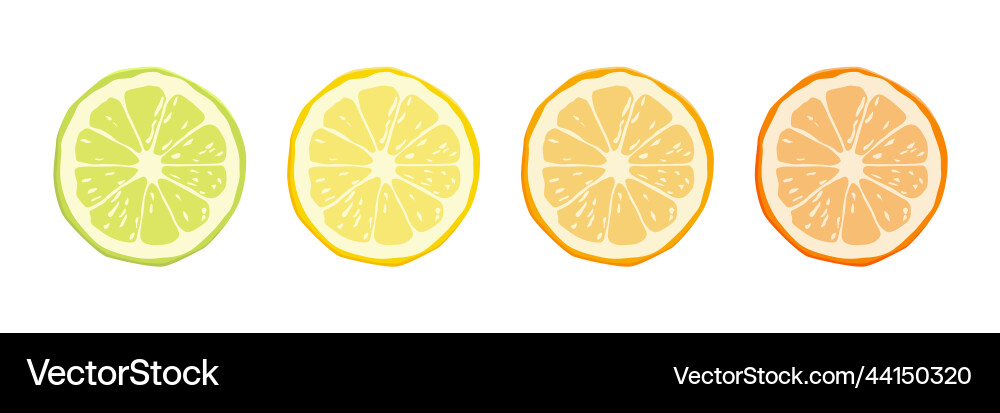Citrus fruit icon set - yellow lemon green Vector Image