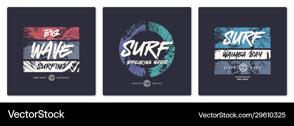Collection three graphic t-shirt designs Vector Image