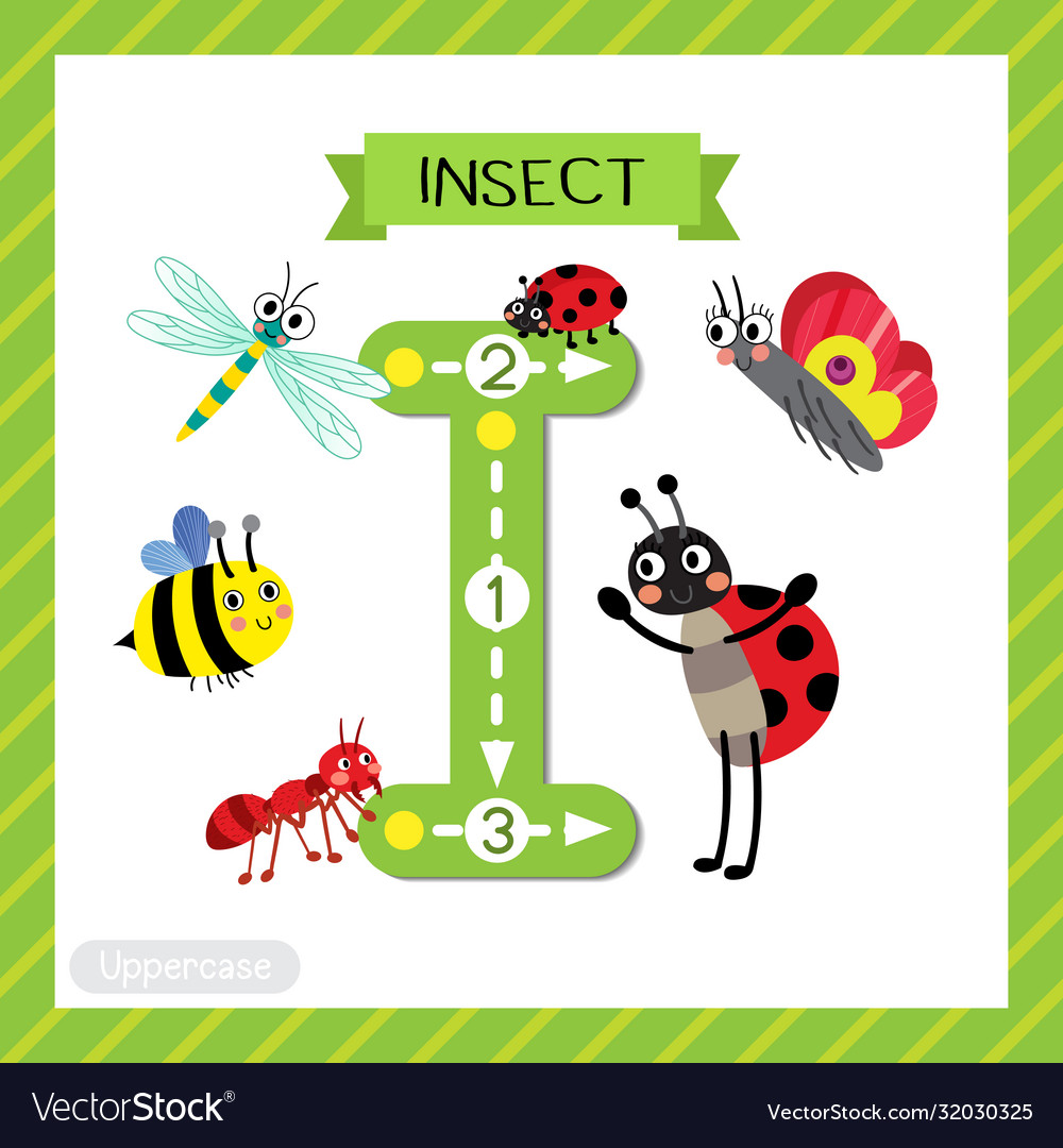 Letter i uppercase tracing insects Royalty Free Vector Image