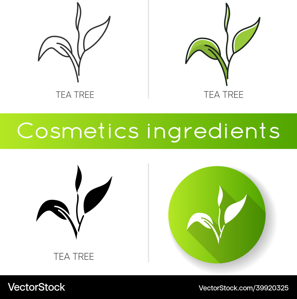 Tea tree icon skincare product component organic Vector Image