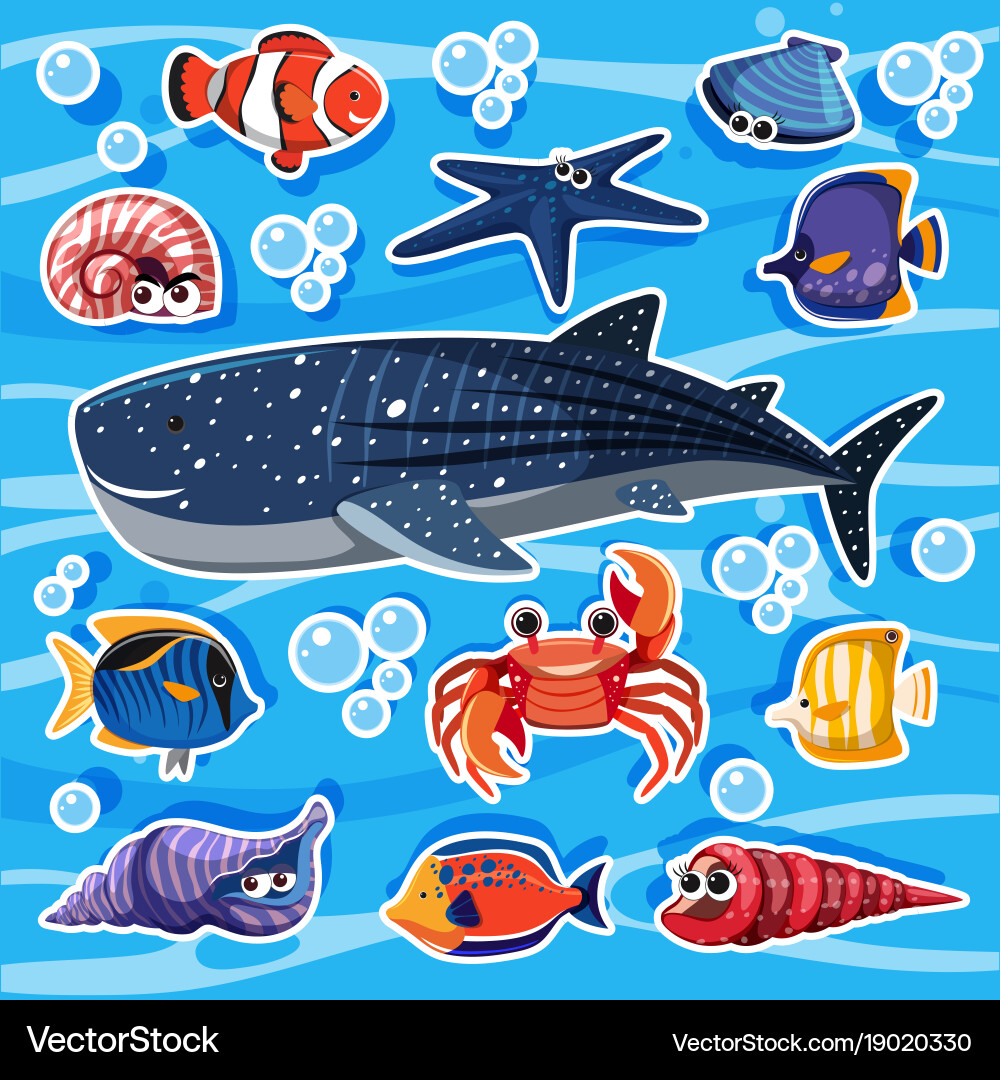 Sticker design with sea animals Royalty Free Vector Image